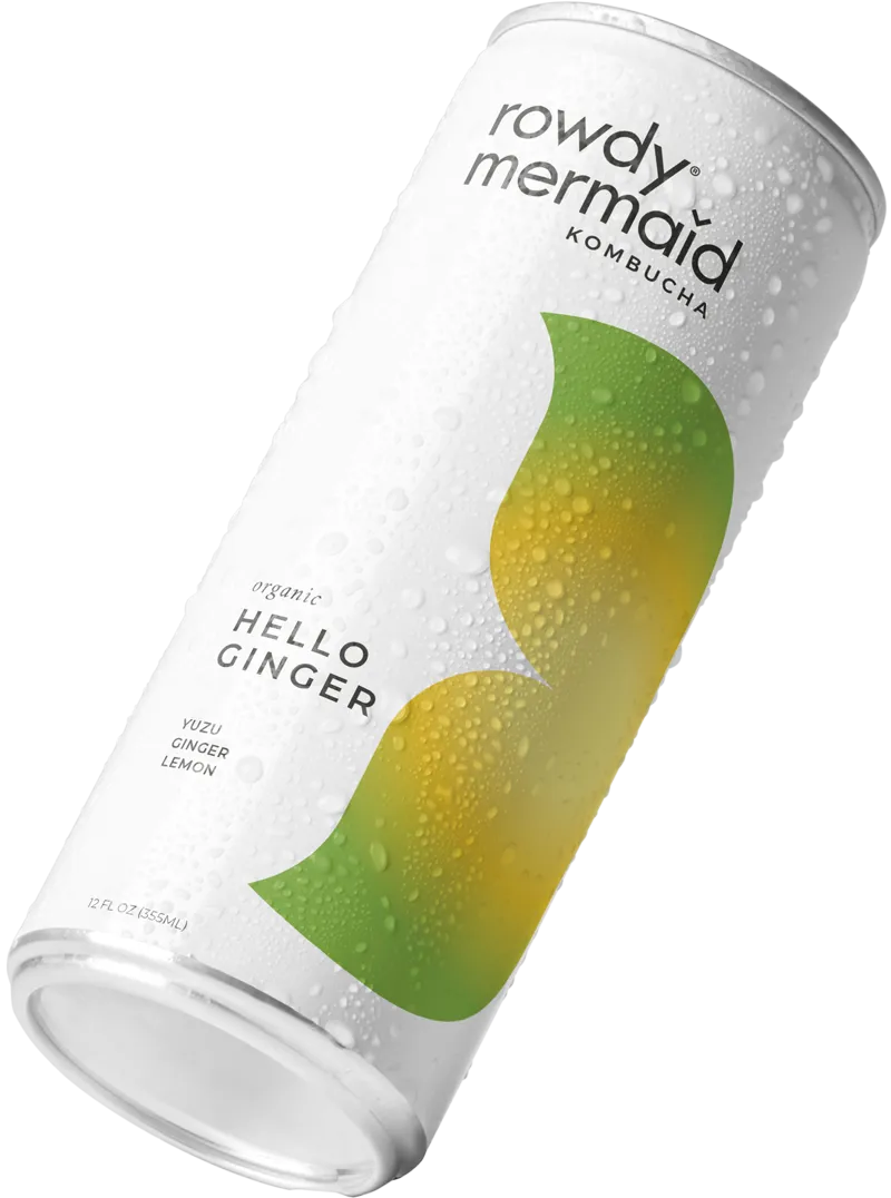 HELLO GINGER Kombucha | Rowdy Mermaid