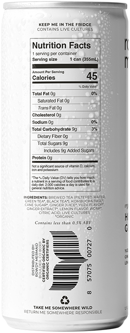 HELLO GINGER Kombucha | Rowdy Mermaid