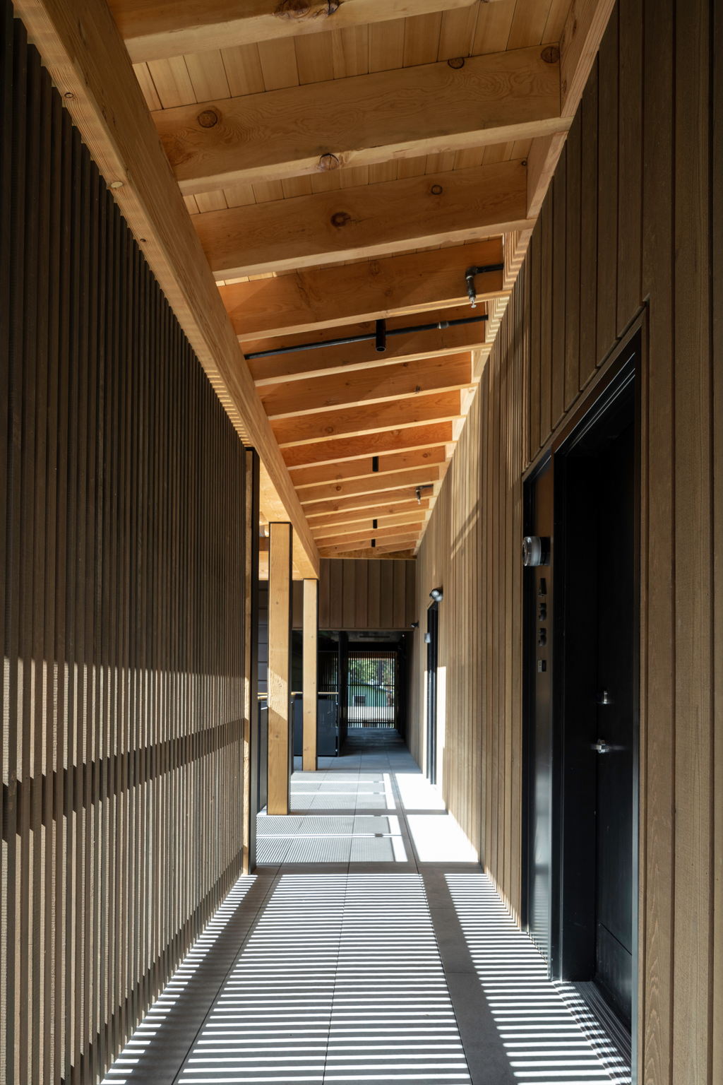 Alpine Studios | Desolation Hotel