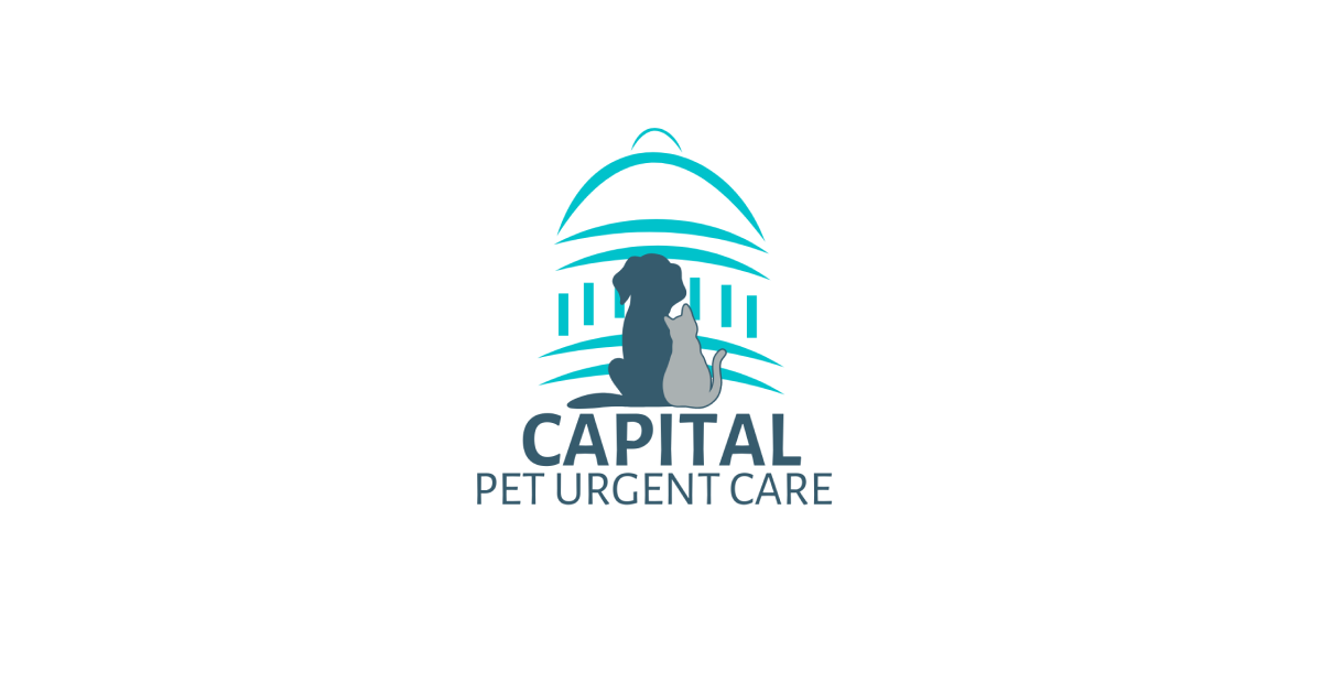 High-Quality Vet Hospital in Olympia, WA | Capital Pet Urgent Care