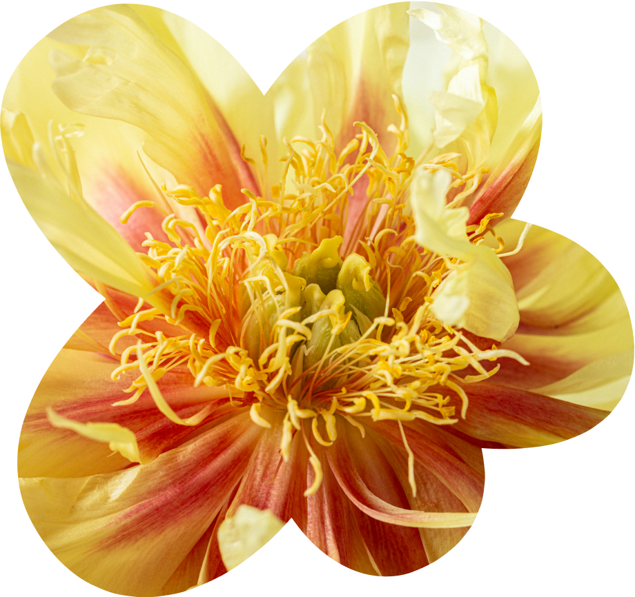 Fresh & Custom Flower Bouquets - Le Bloom Dallas