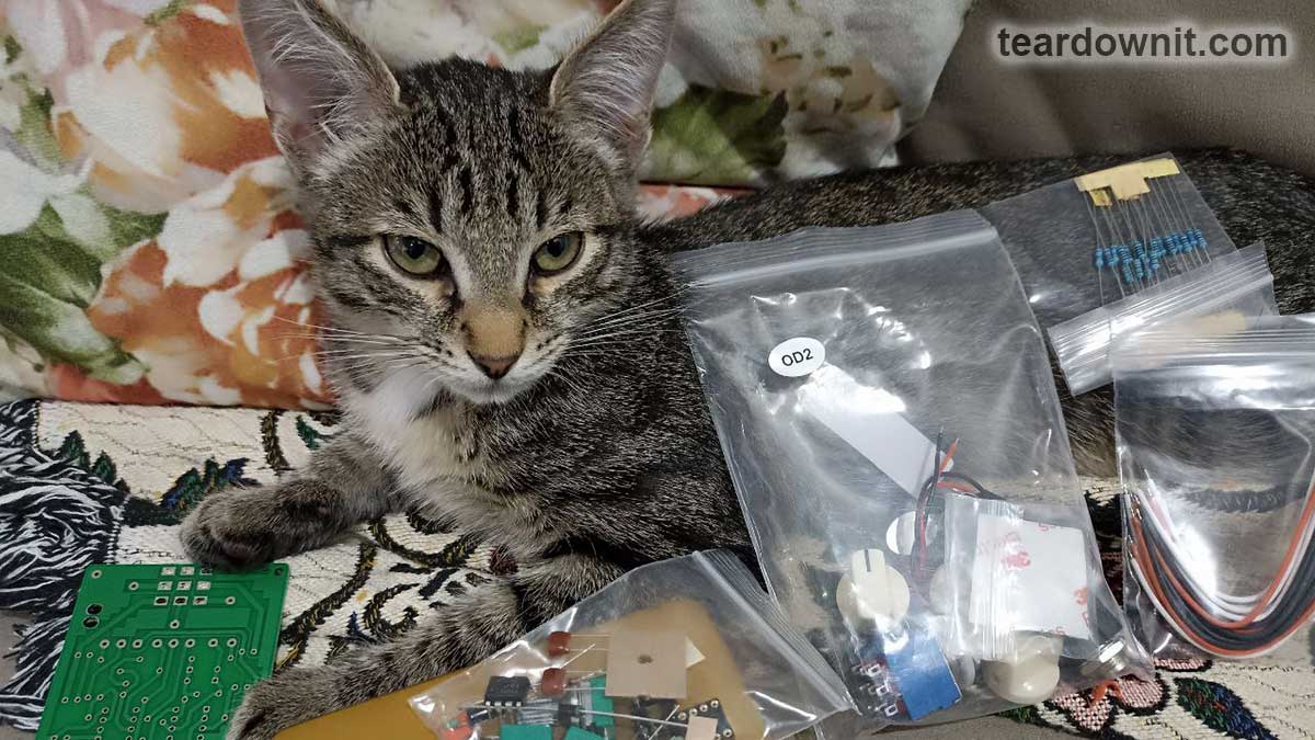 The undeservedly forgotten Classic Tube Оverdrive DOD FX-53 guitar ...