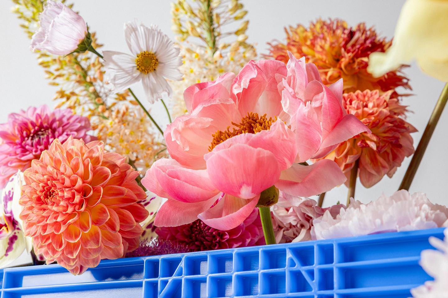 Fresh & Custom Flower Bouquets - Le Bloom Dallas