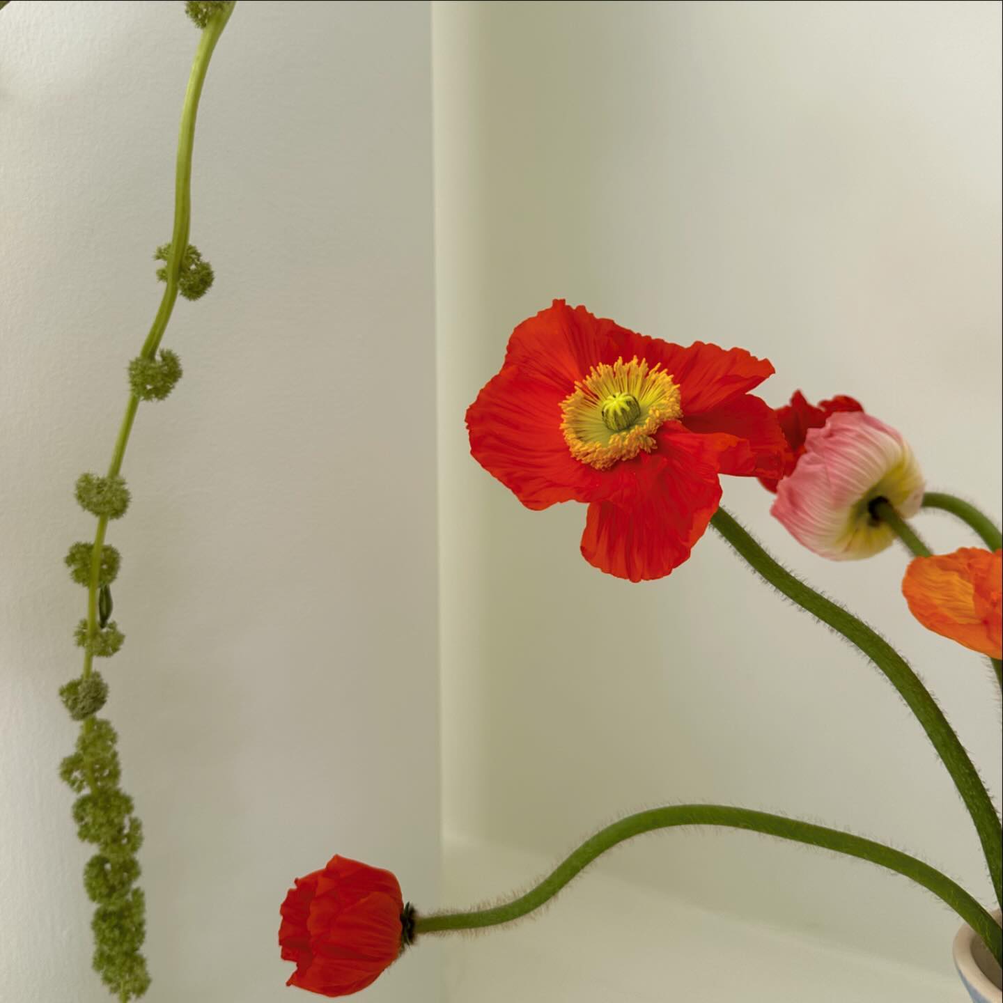 Fresh & Custom Flower Bouquets - Le Bloom Dallas