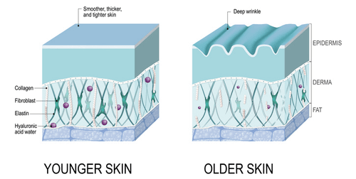 Face Treatments | CellSound Aesthetics®