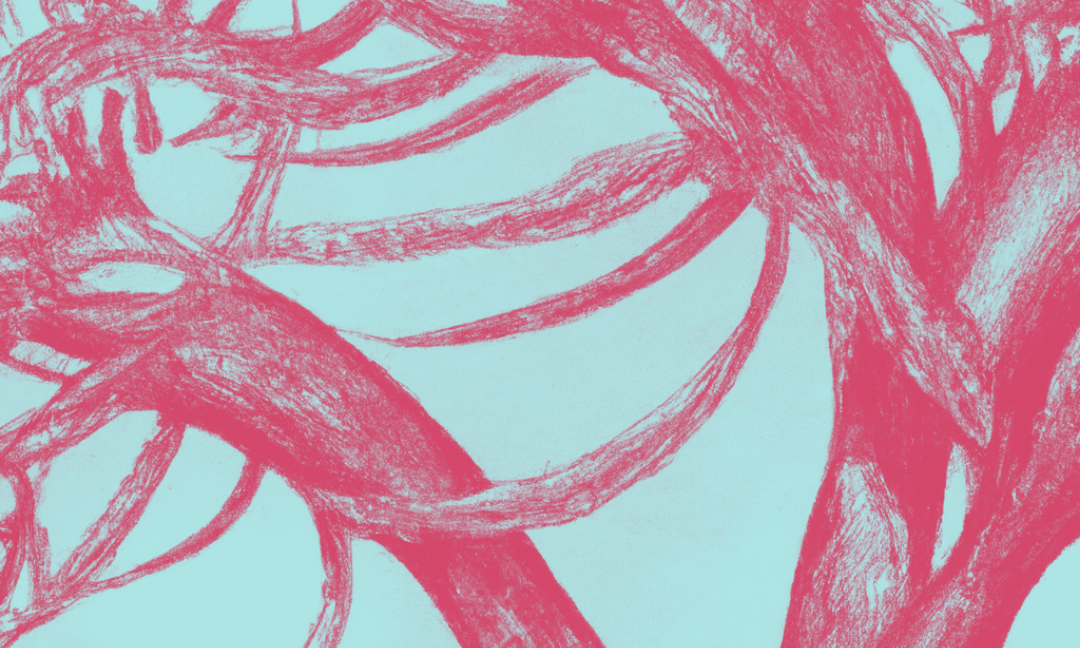 Understanding content genres (internal and external)