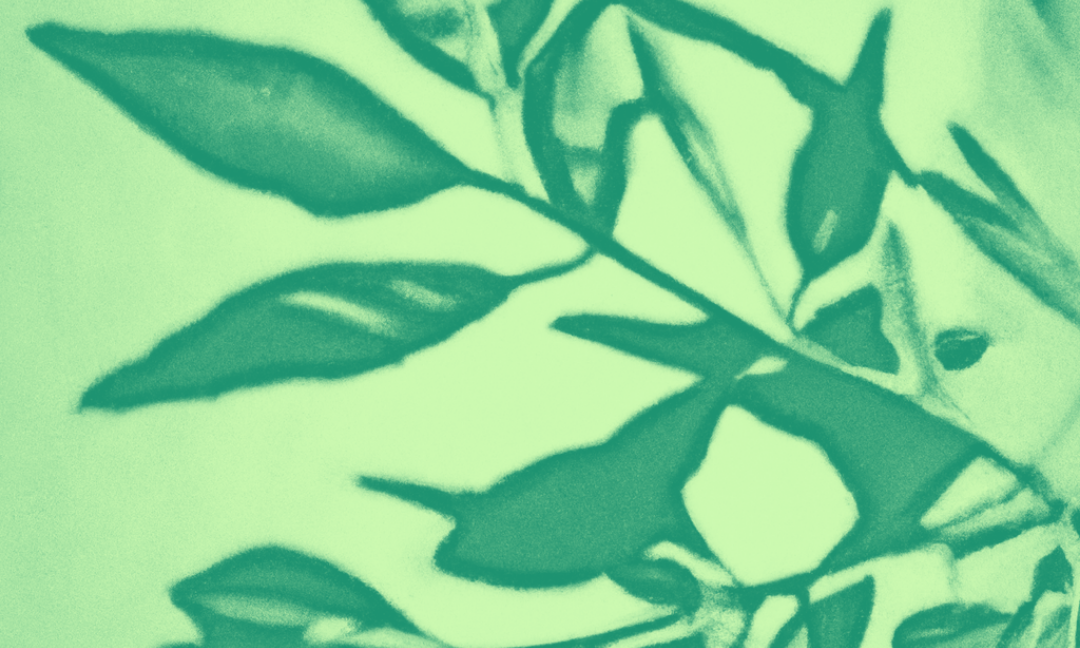 Understanding the difference between genre conventions and obligatory ...