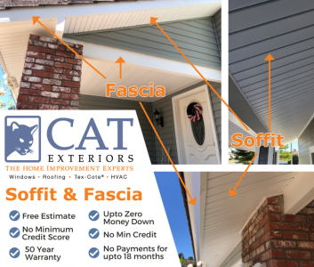 CAT Exteriors - Home