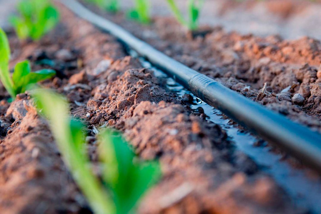 ¿Cómo puedes ahorrar agua y fertilizante? - Hydrobit | Agricultura de ...