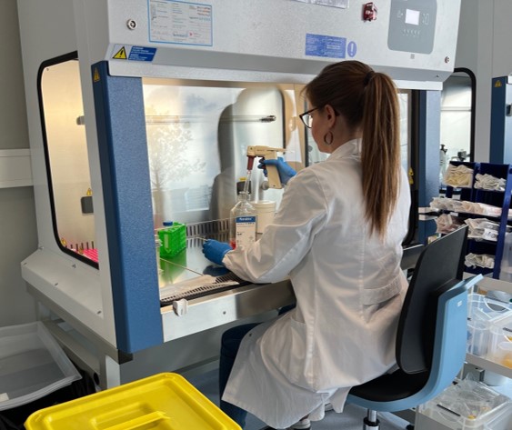 NewBiologix Licenses Florabio’s HEK293 Cell Line for the Generation of ...