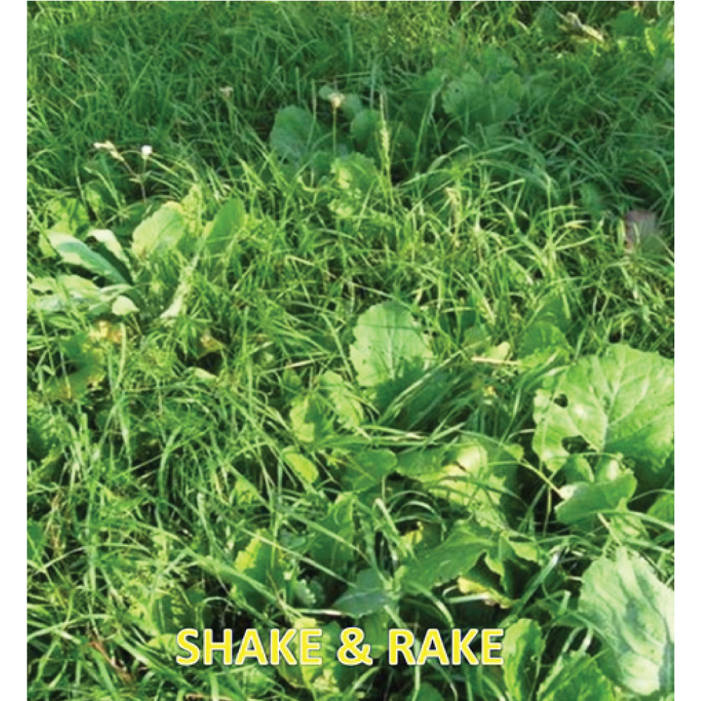 Shake & Rake | Food Plot Seed | Jade Seed & Outdoor Supply