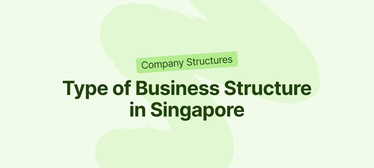 Stellar Guide | Type of Business Structure in Singapore