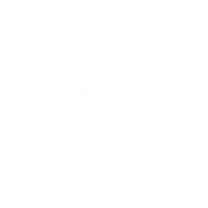 Hoopo Asset Intelligence