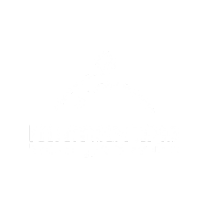 Hoopo Asset Intelligence