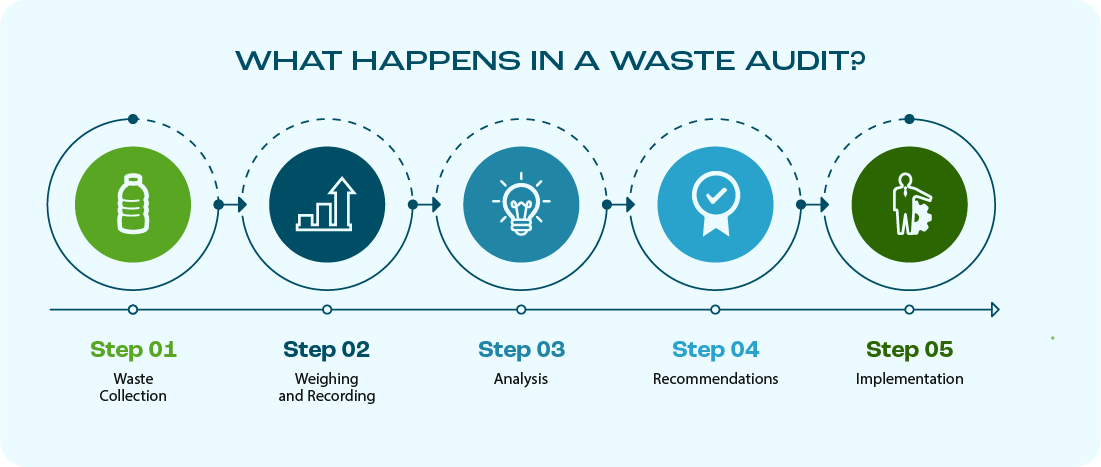 What Is a Waste Audit and Why Do You Need One?