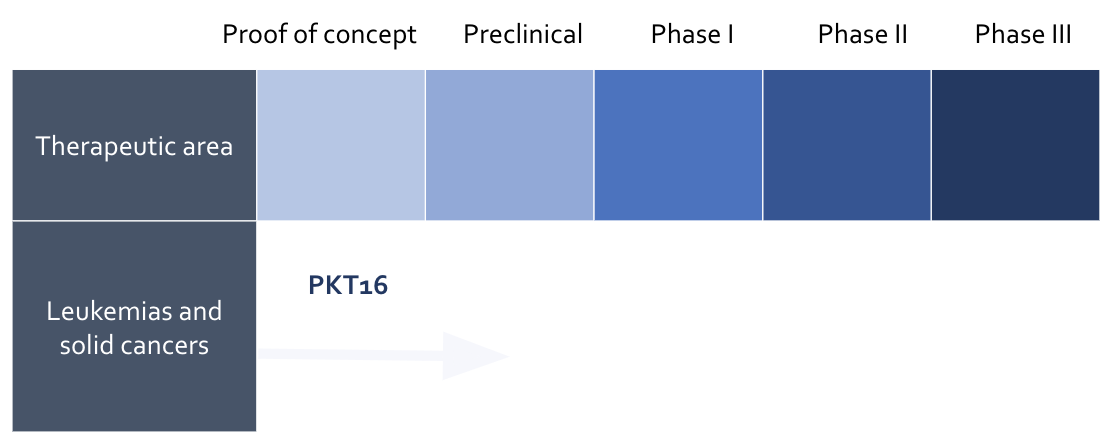 Pepkon - Innovative peptides to treat cancer