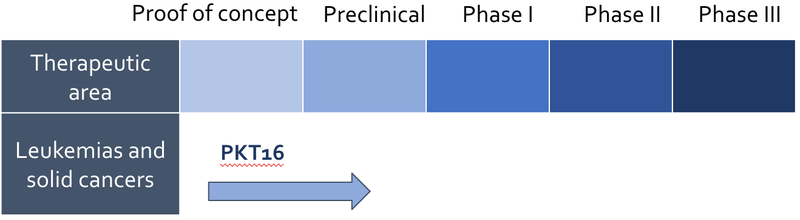 Pepkon - Innovative peptides to treat cancer