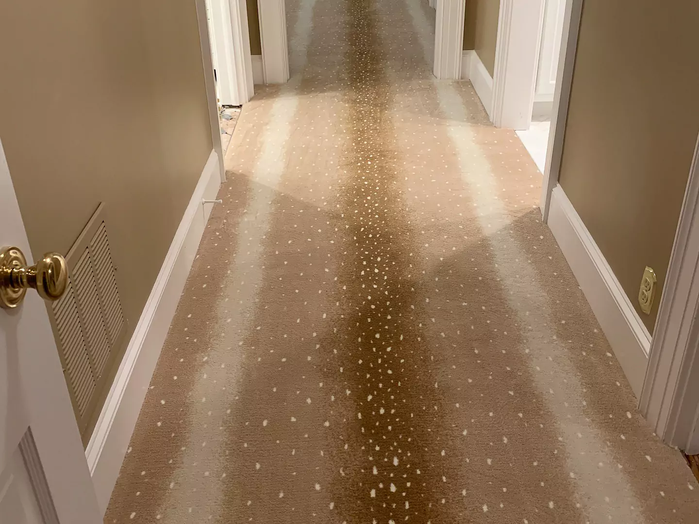Carpet Projects | All About Flooring