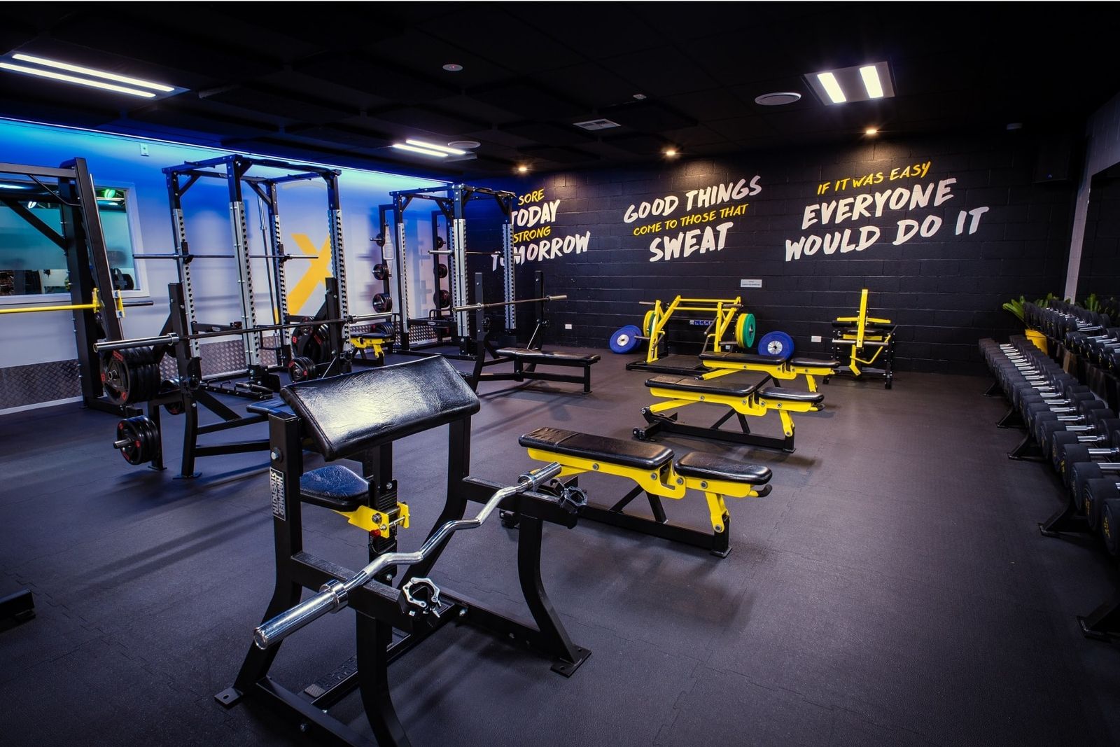 Our Story | Flex Fitness