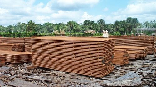 Robinson Lumber Company - History