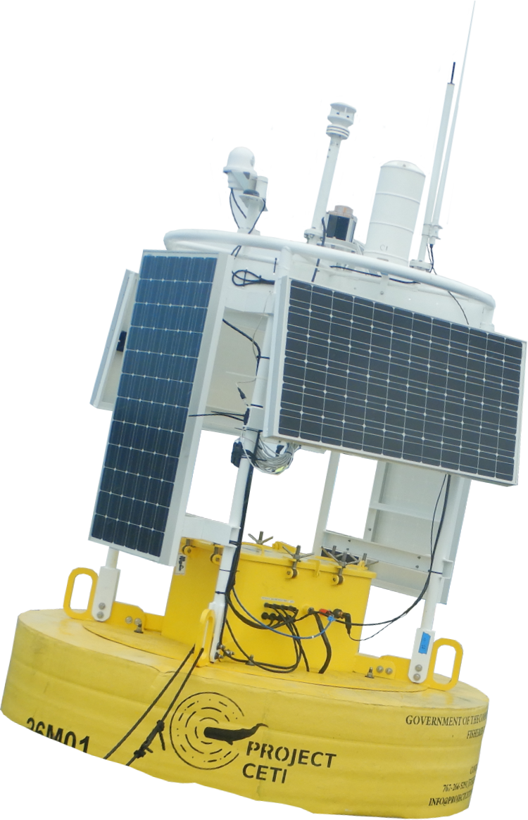 Project CETI •-- Dominica