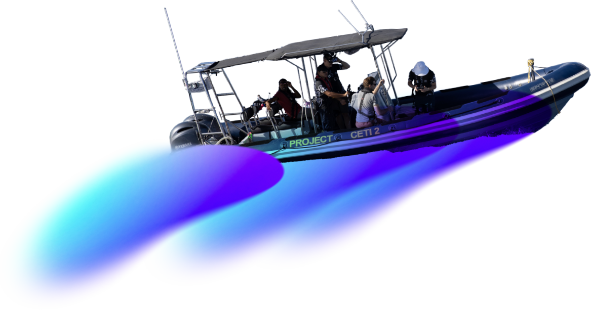 Project CETI •-- Home