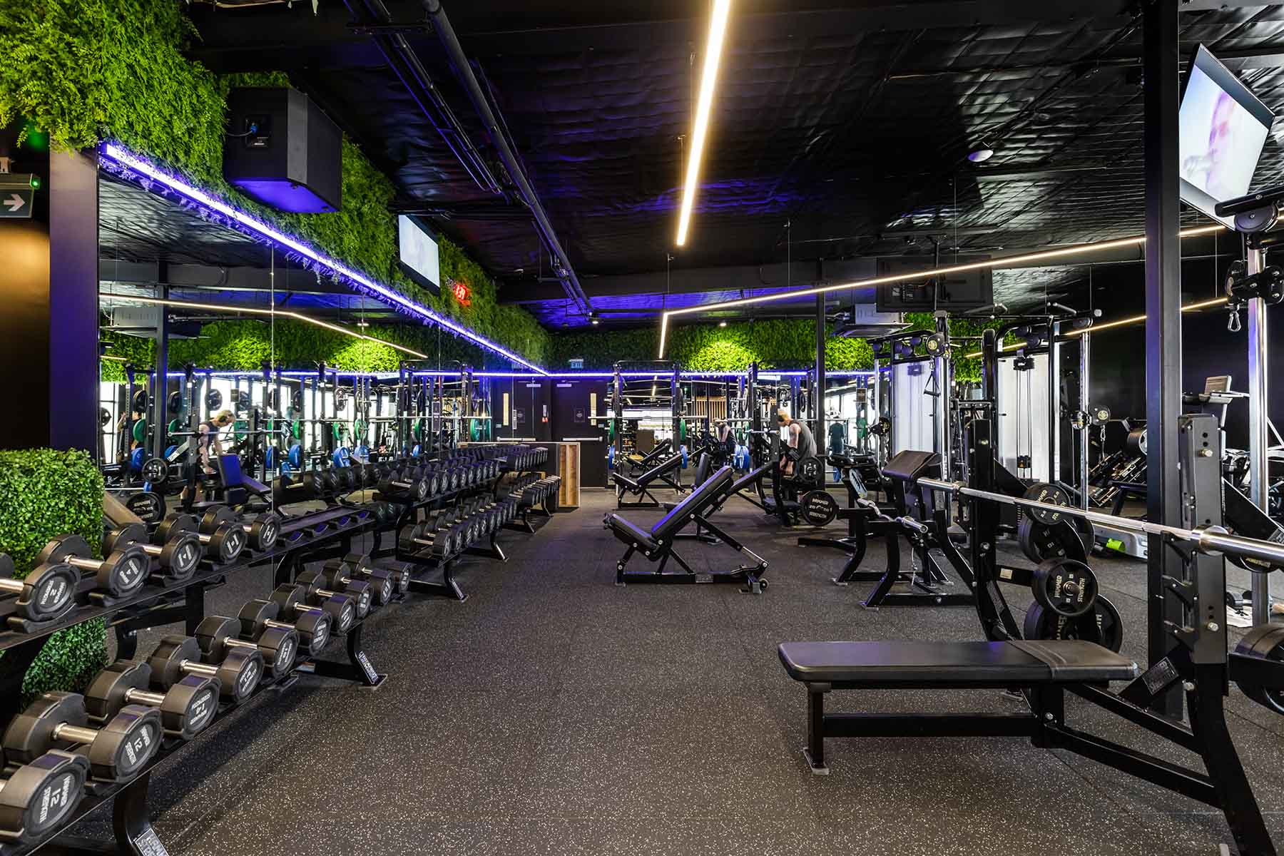 Pt Chevalier | Flex Fitness Auckland