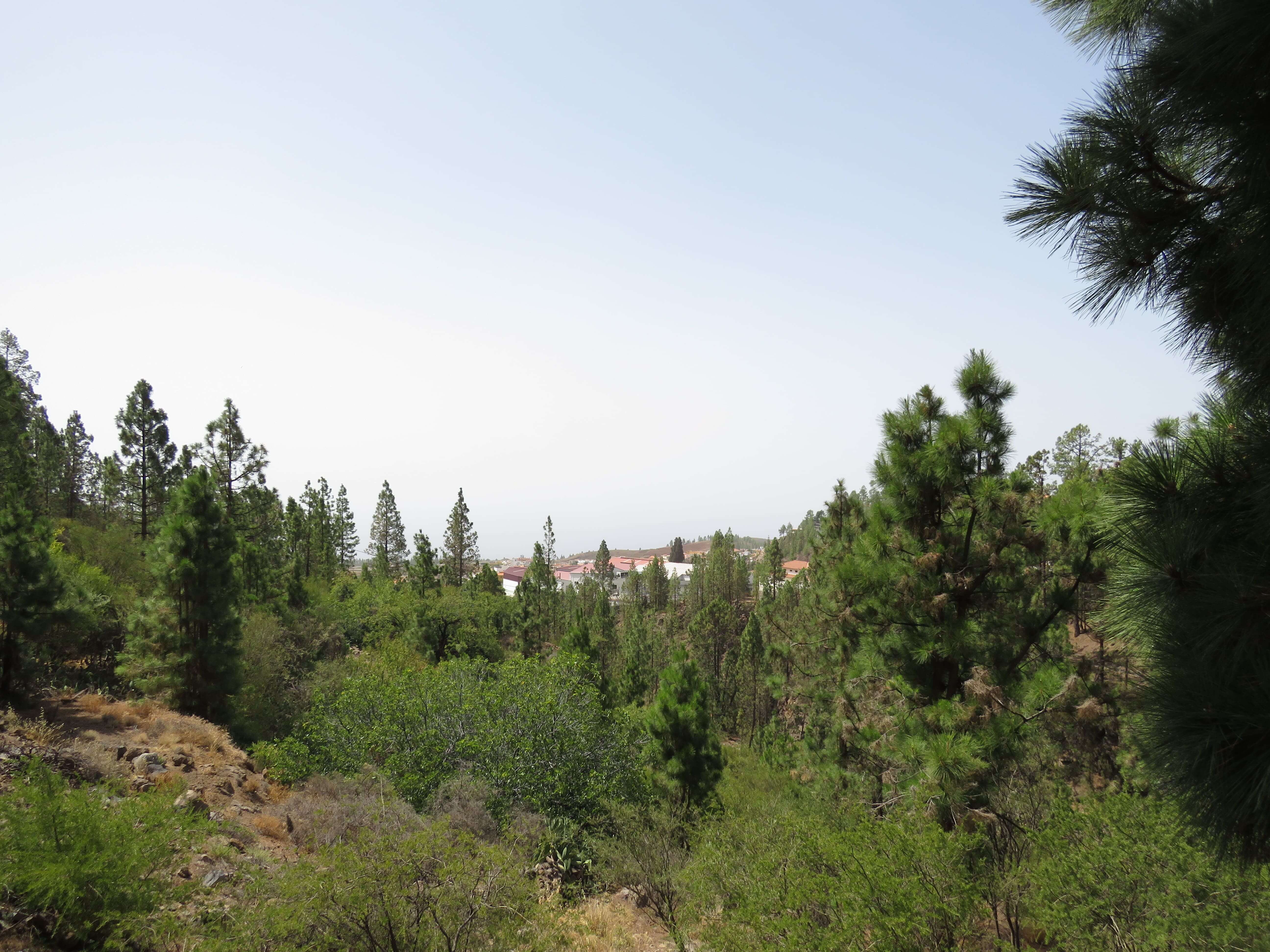 Vilaflor de Chasna : Explorez le Village le Plus Haut de Tenerife et ...