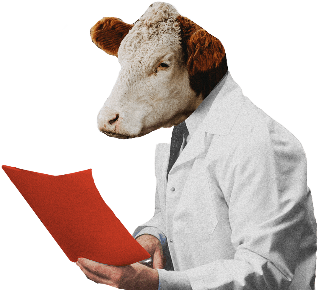 Omeat makes real meat, grown directly from cells | Product