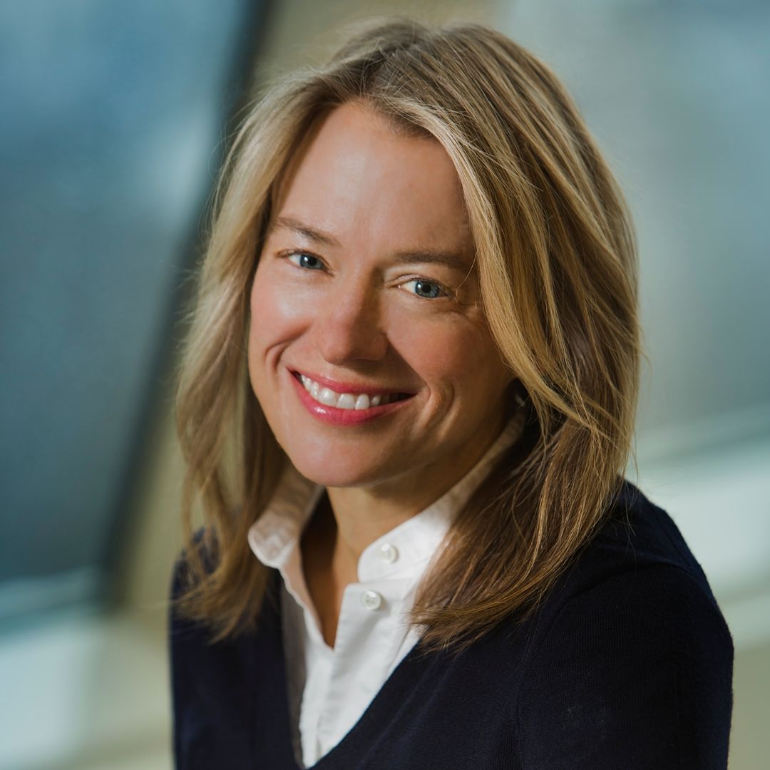 IPIE - International Panel on the Information Environment