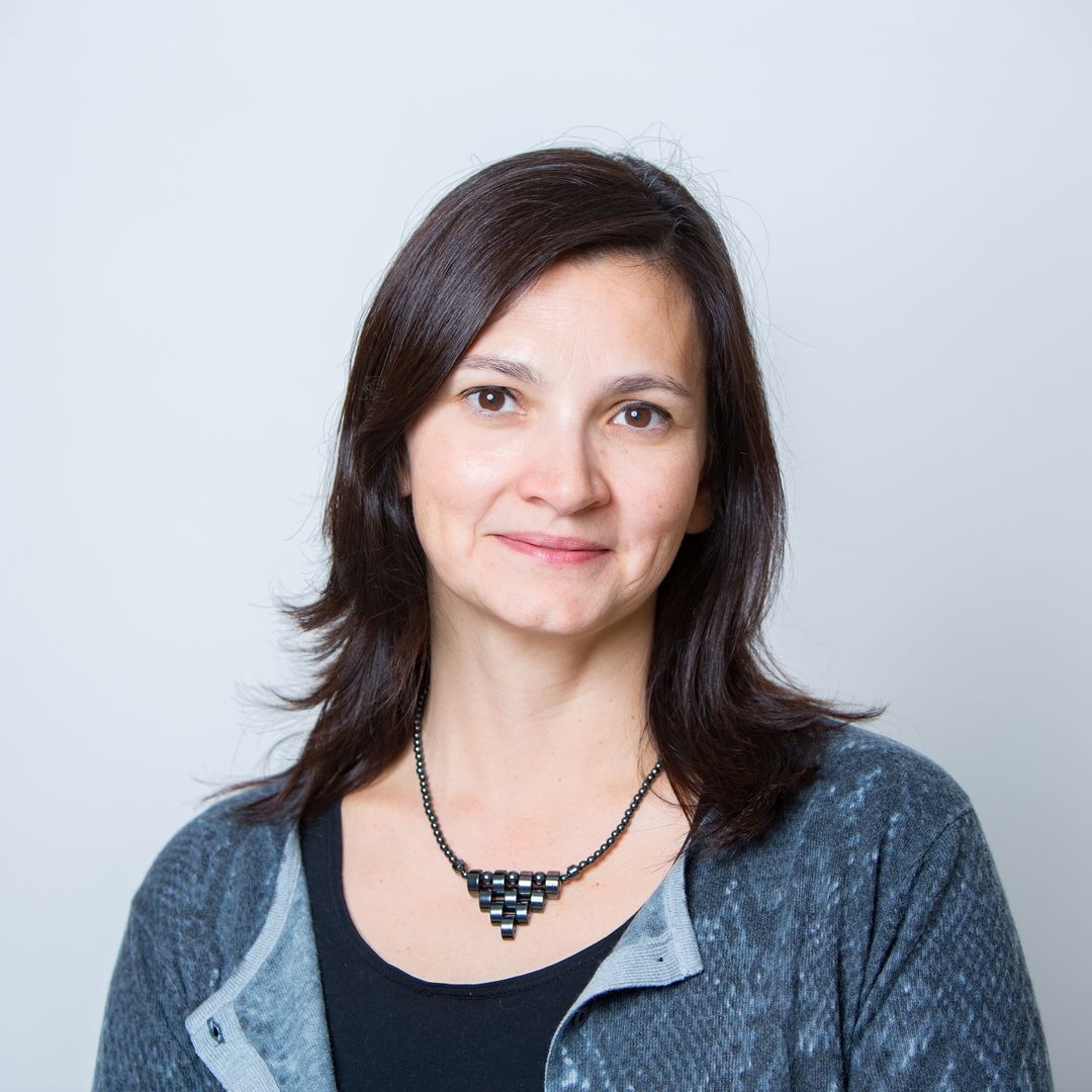 IPIE - International Panel on the Information Environment