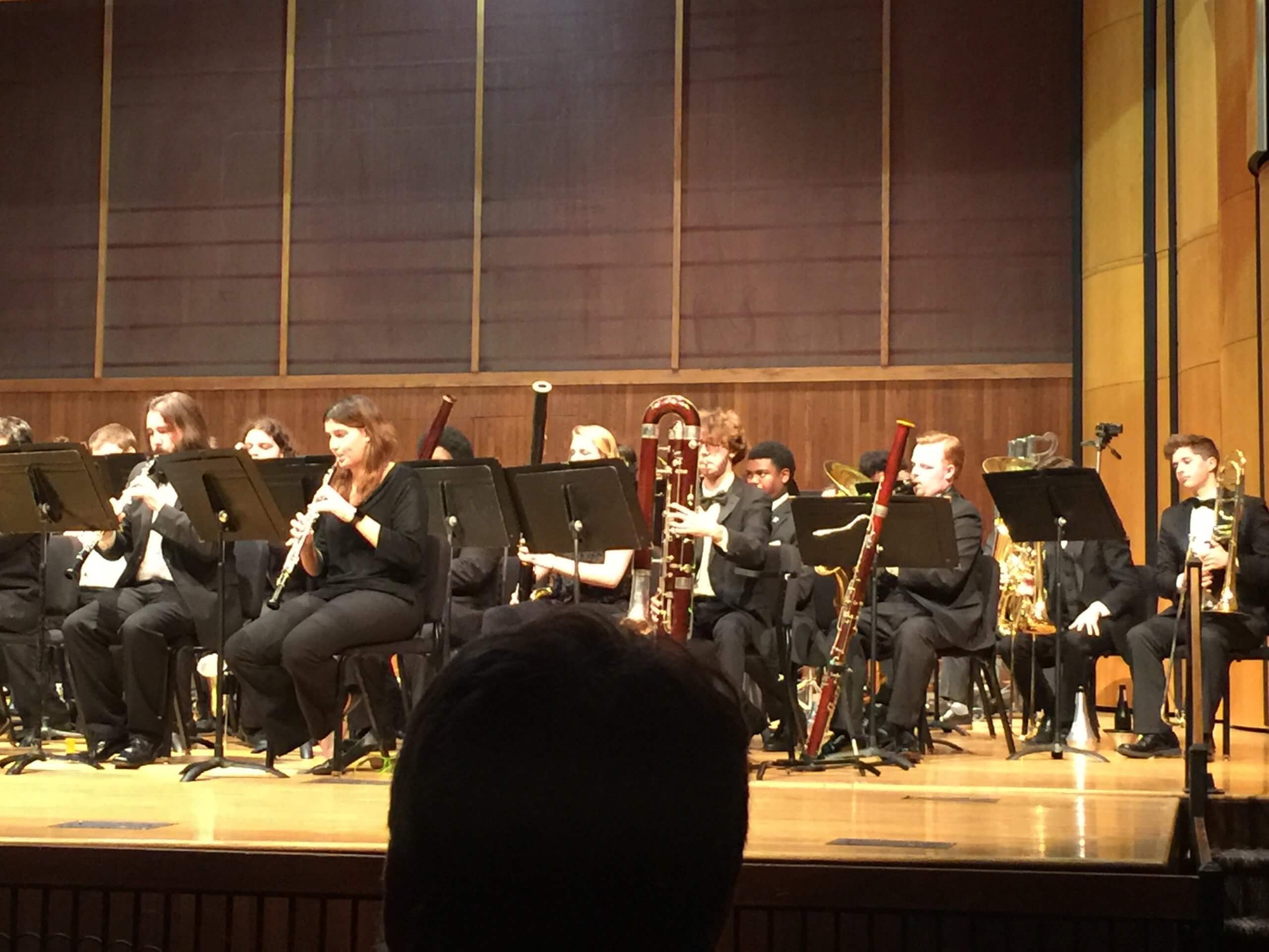 Emilee - Music is Important - The Visible NewsCast