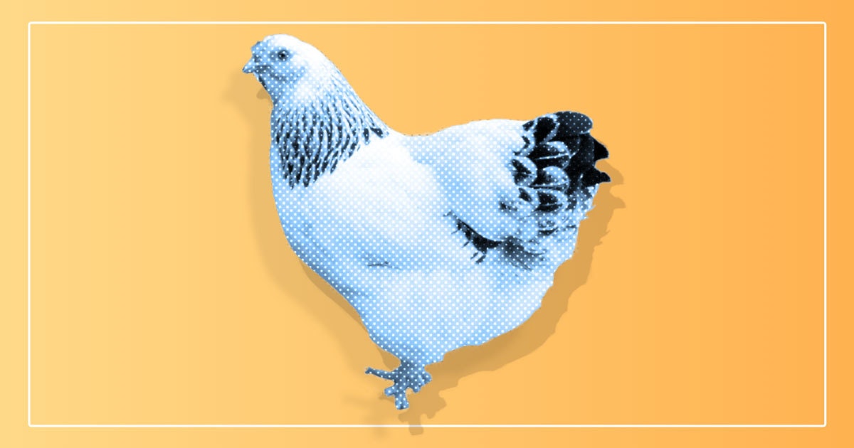 Design Your Very Own Non-Partisan Voting Guide | IDEO