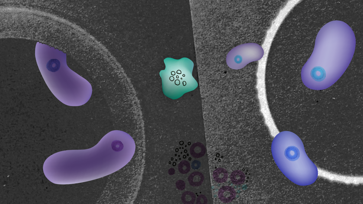 Escape Your Filter Bubble and Enhance Your Creativity | IDEO