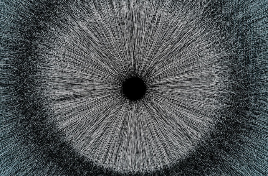 Painting with Code | IDEO