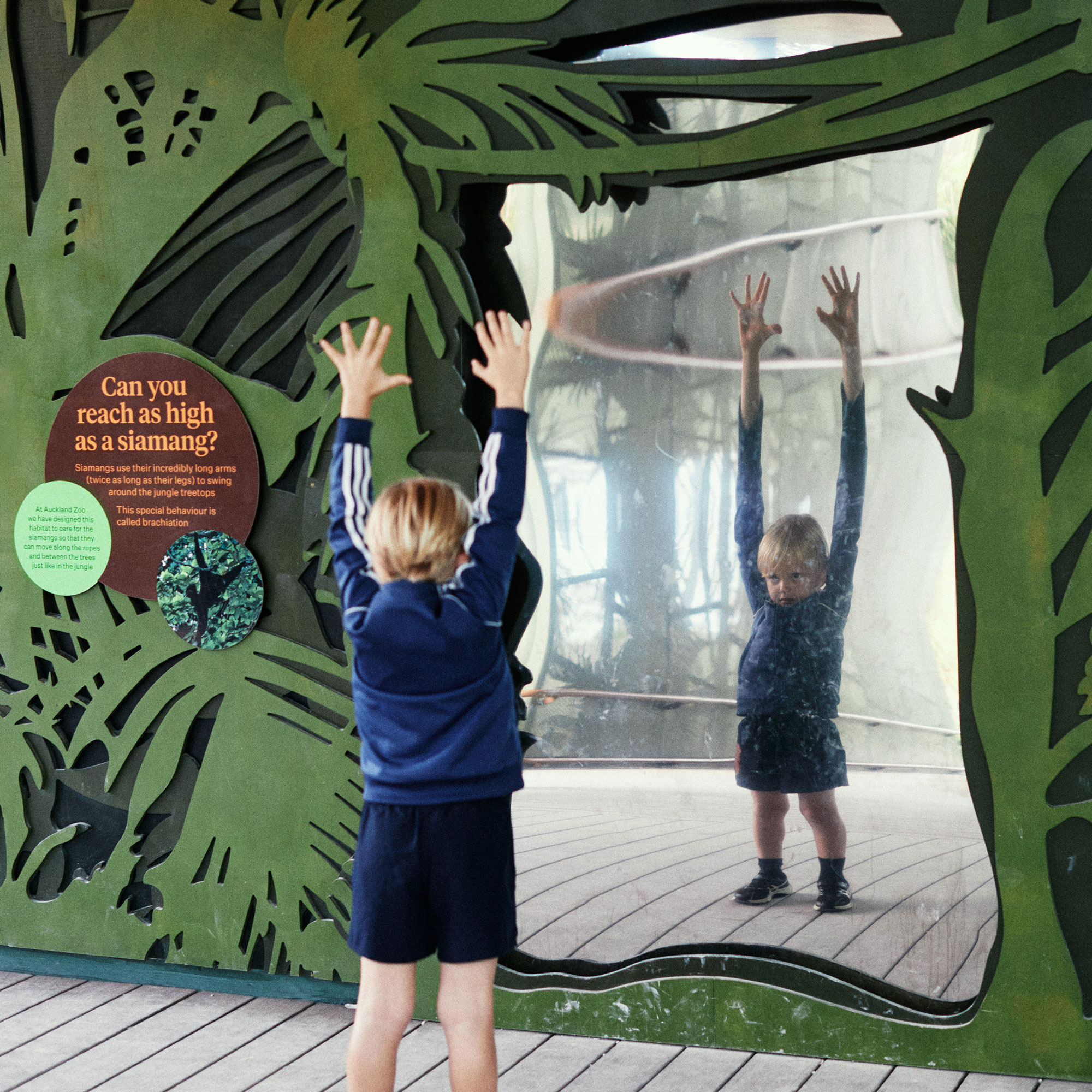 ThoughtFull™ | Projects | Auckland Zoo