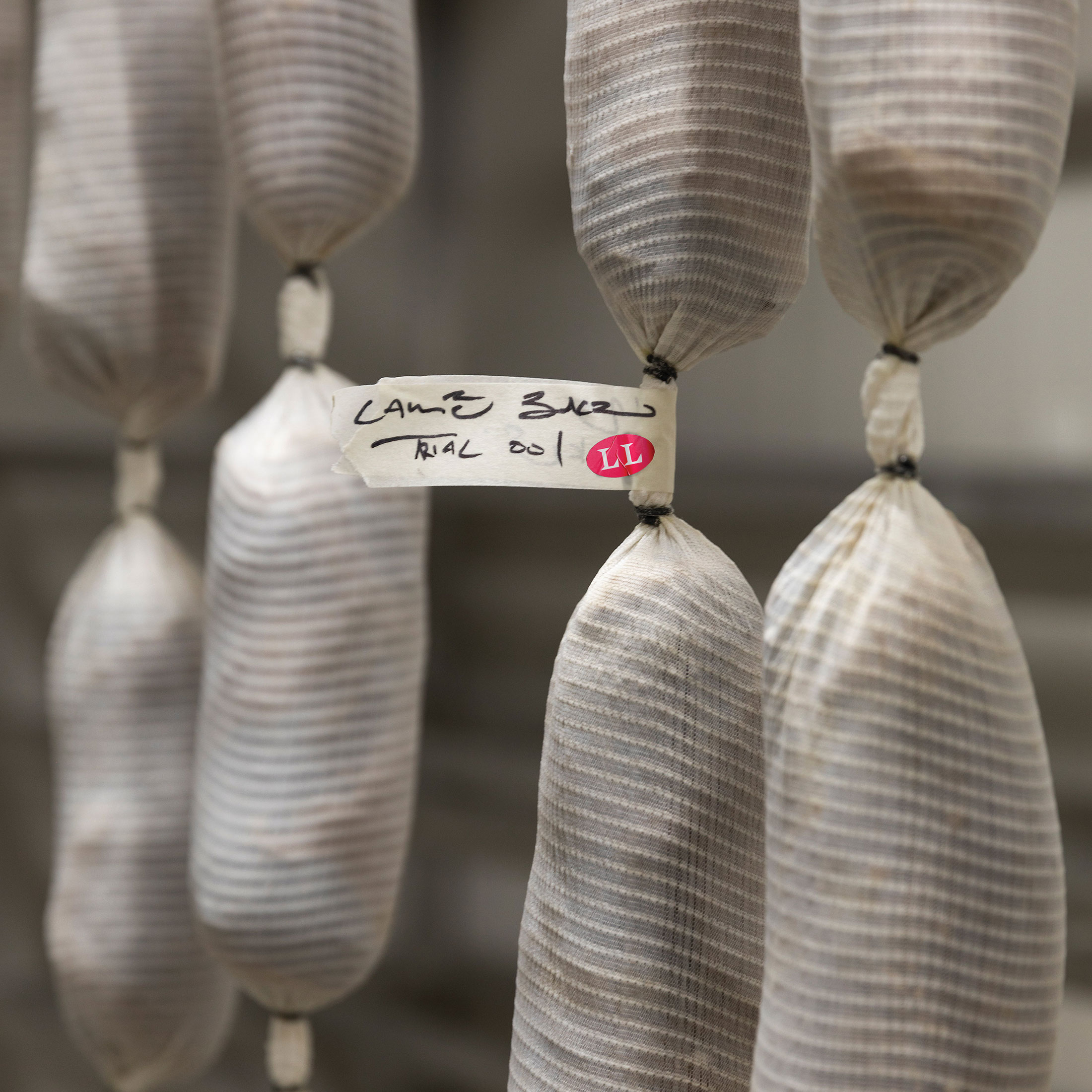 ThoughtFull™ | Projects | Lumina