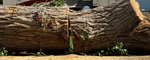 Diamond Landscape, Design, & Tree Removal - Serving Niagara County & WNY