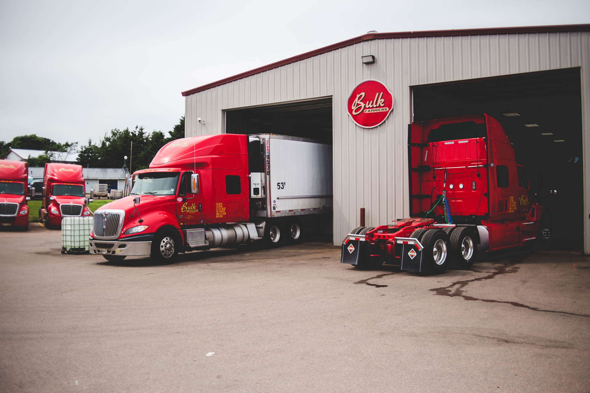 Bulk Carriers… Anticipating the Road Ahead..