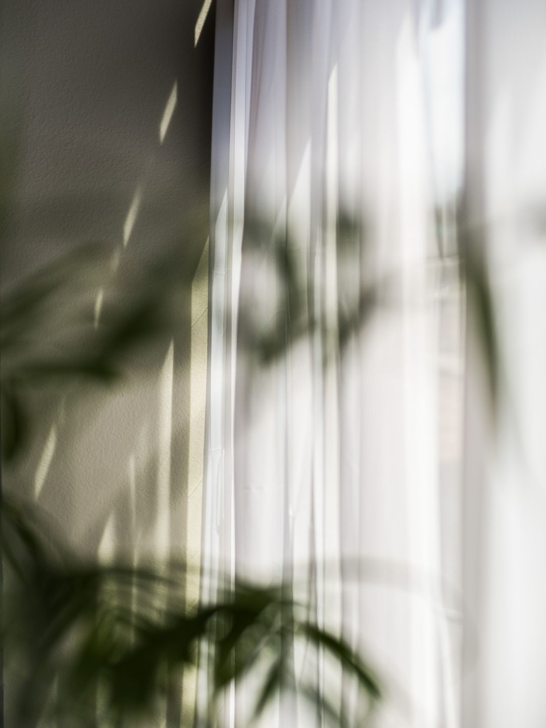 Ebbe - Chef's Counter