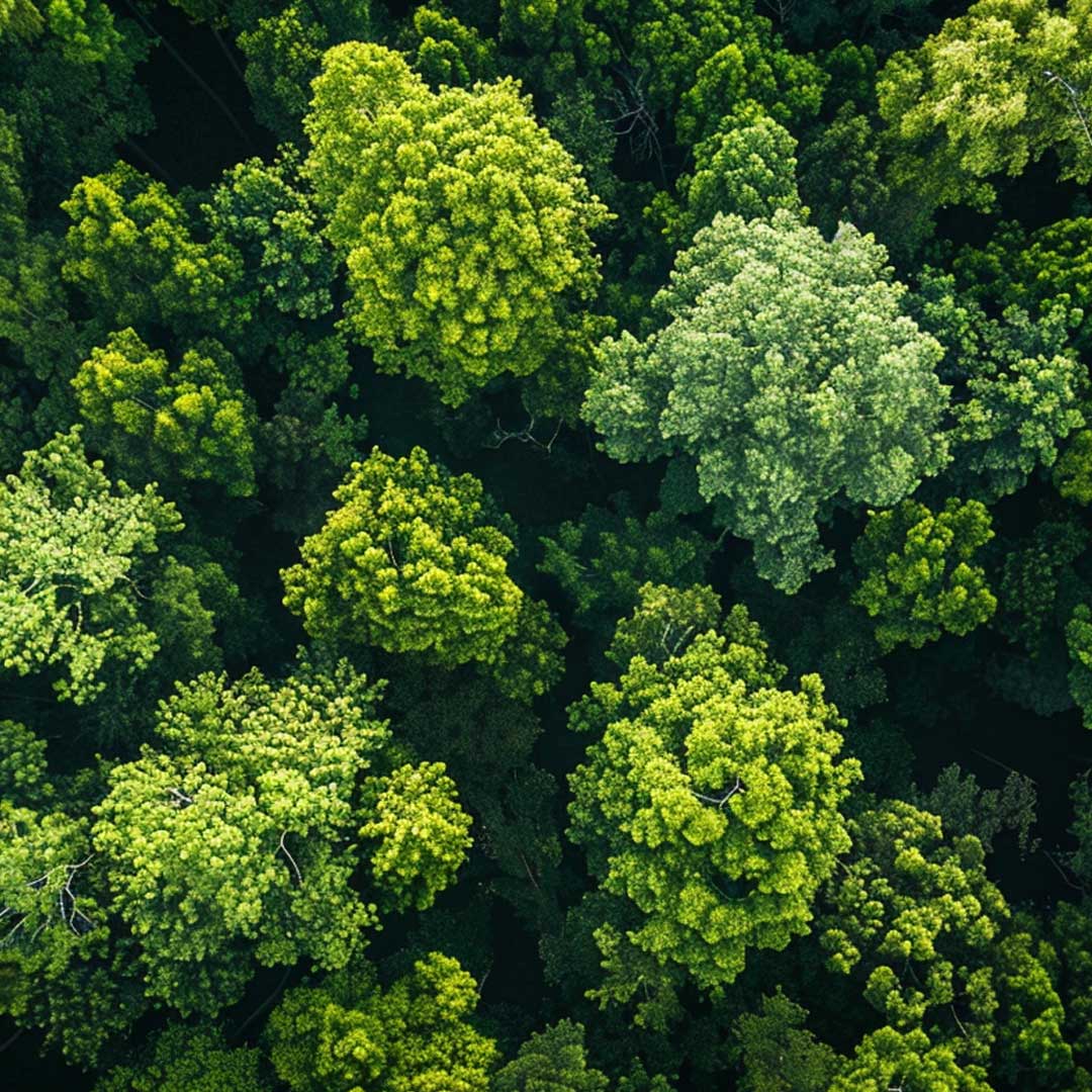 ECHA Unveils ECHA CHEM: A New Chemicals Database