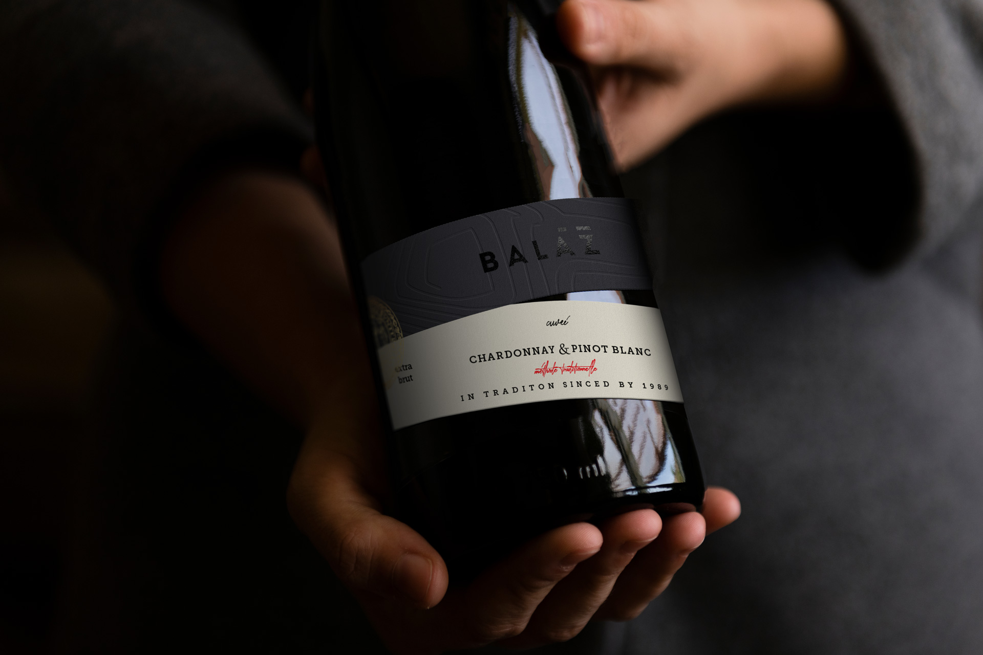 The first sect of the Baláž Winery! | Vinařství Baláž blog