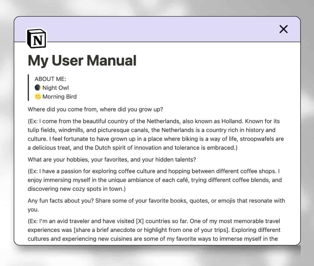 The Best Personal User Manual For Work Guide Template Examples