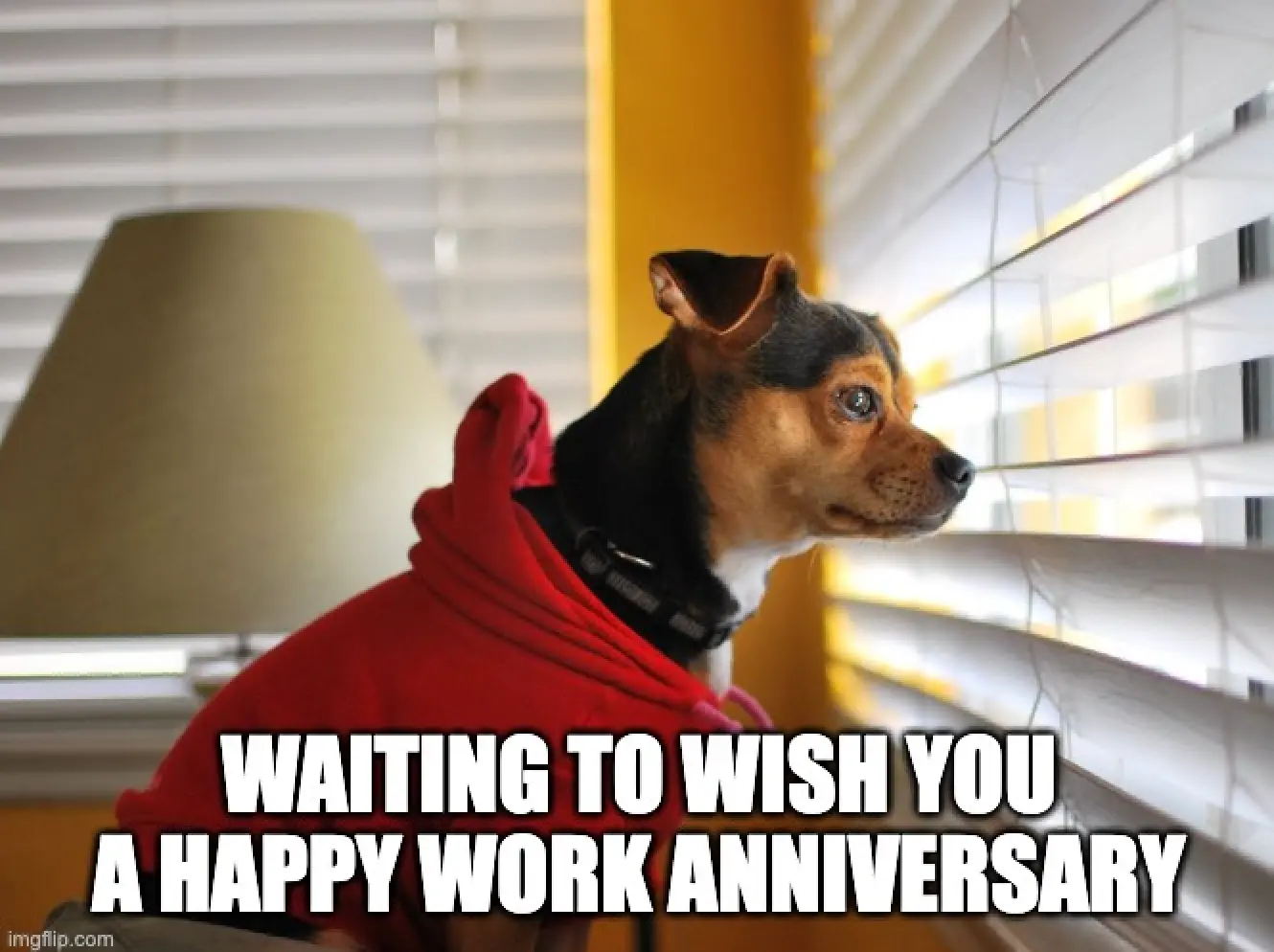 40+ Happy Work Anniversary Images to Personalize Your Messages