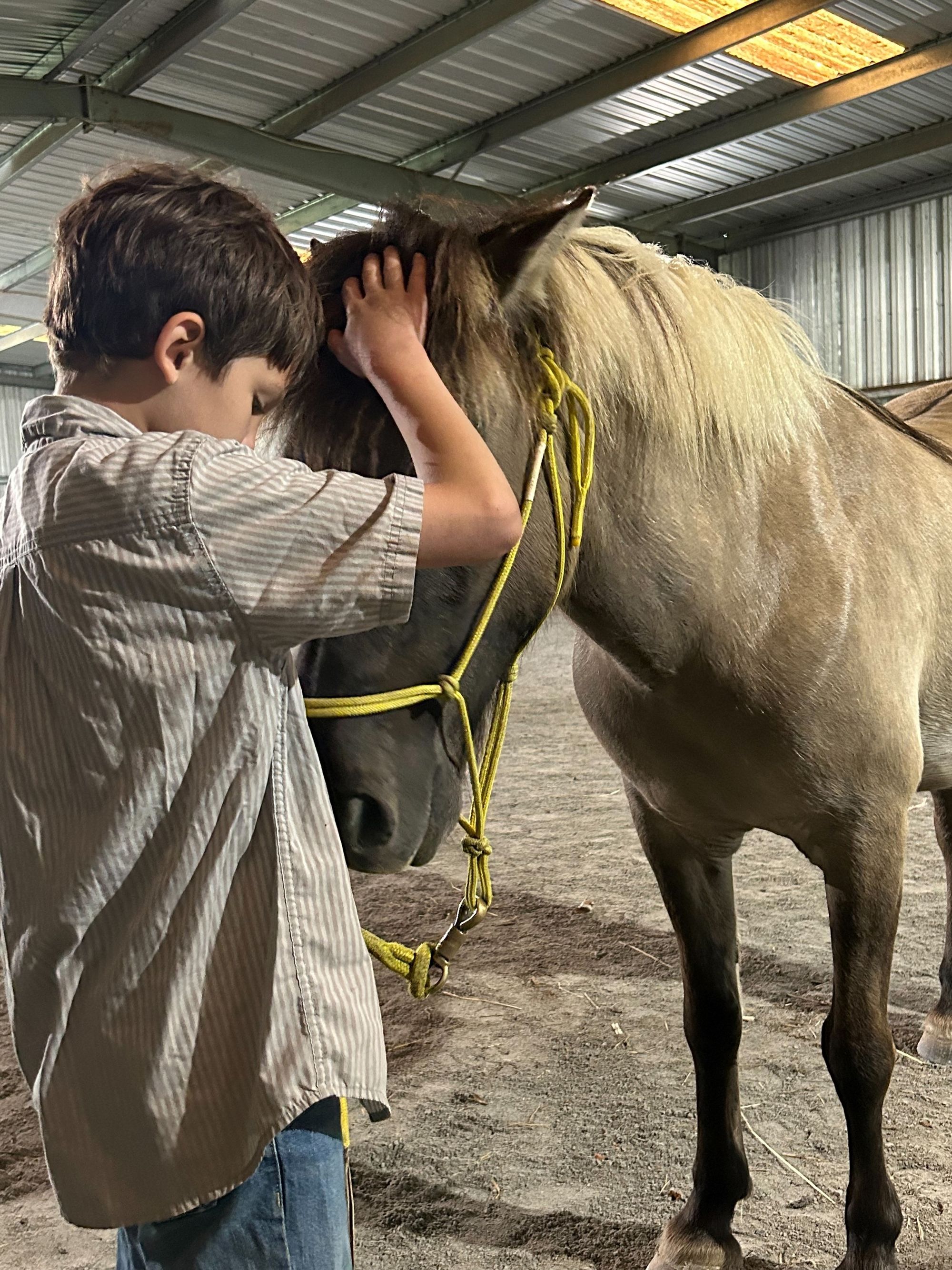 Tarpan Horse Conservation Program