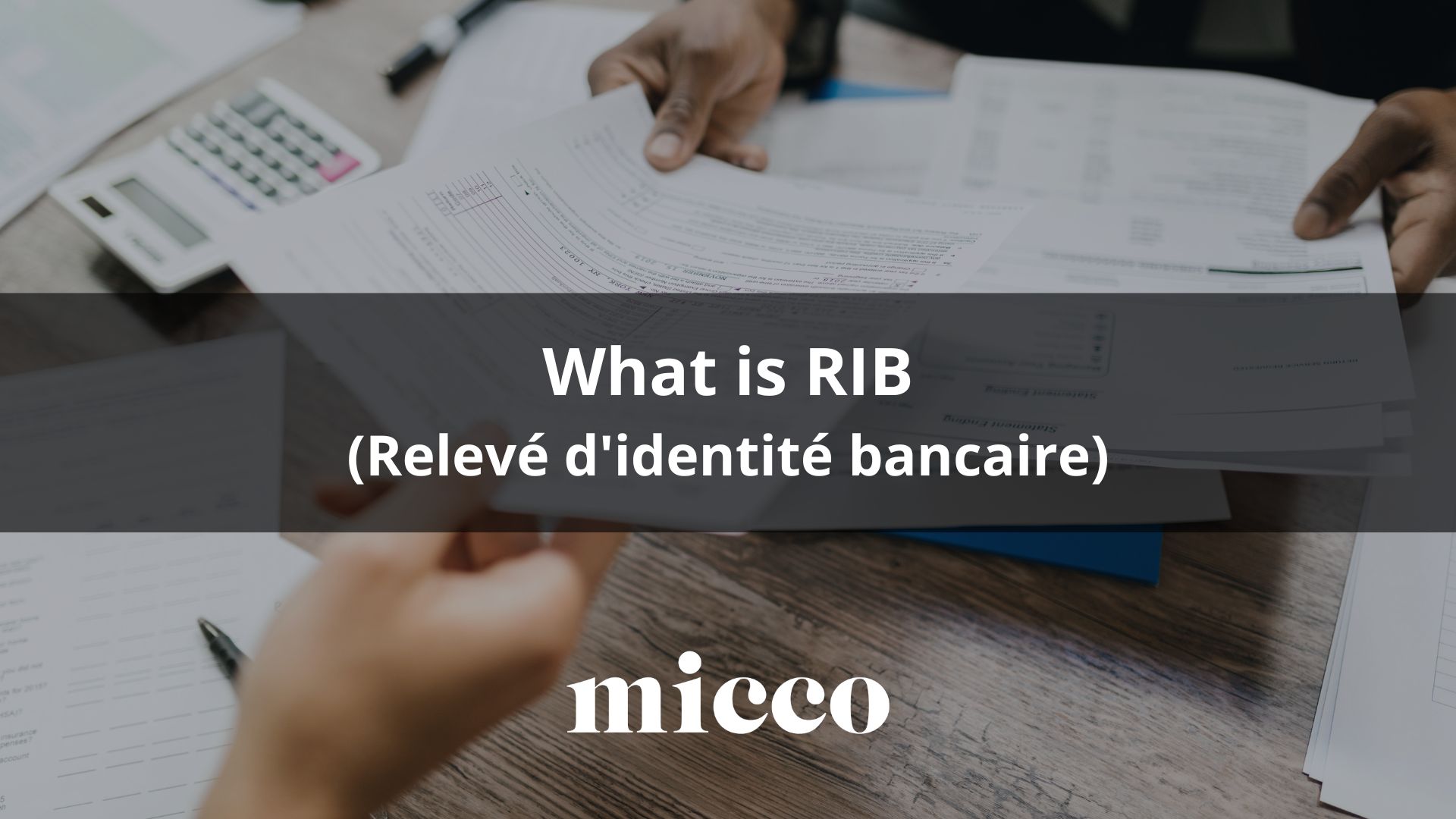 What is RIB (Relevé d'Identité Bancaire)?