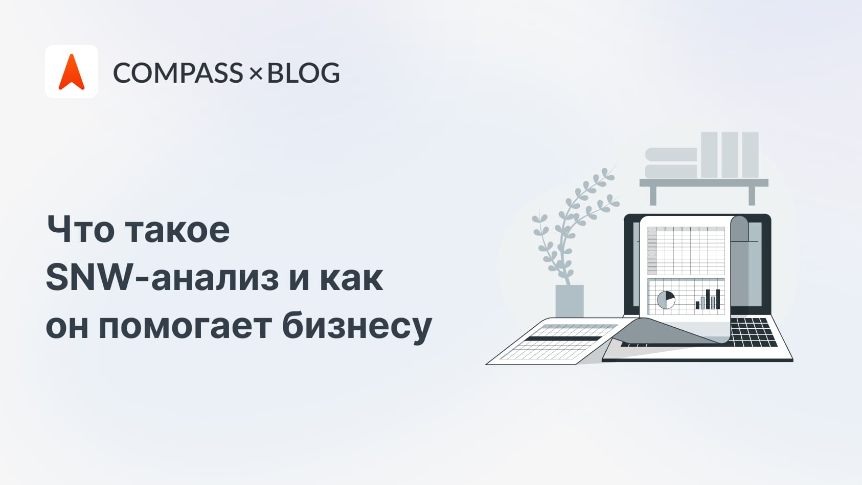 Что такое SNW-анализ: задачи,принципы и как использовать в бизнесе