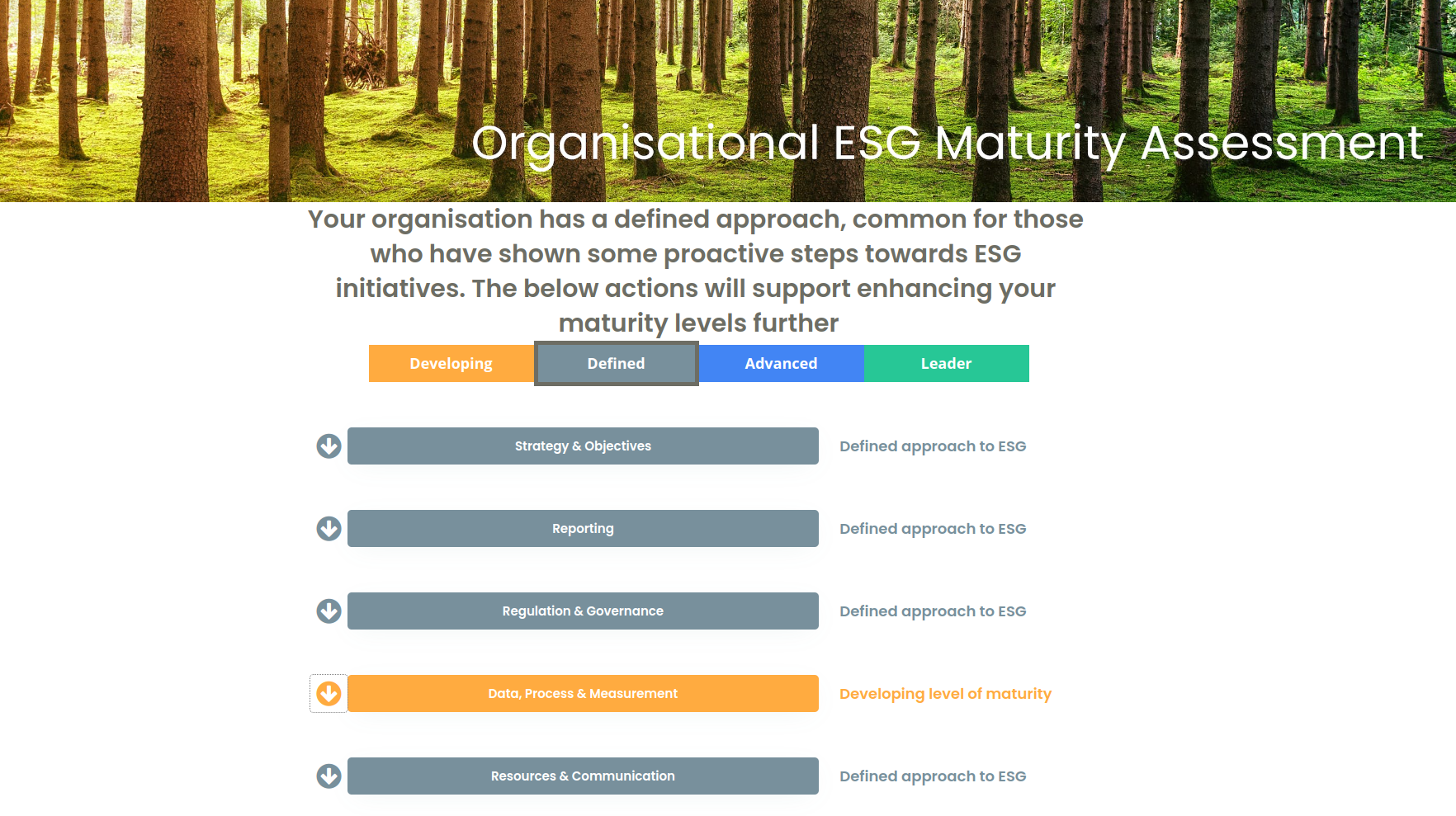 Viridian | ESG Maturity Assessment Tool