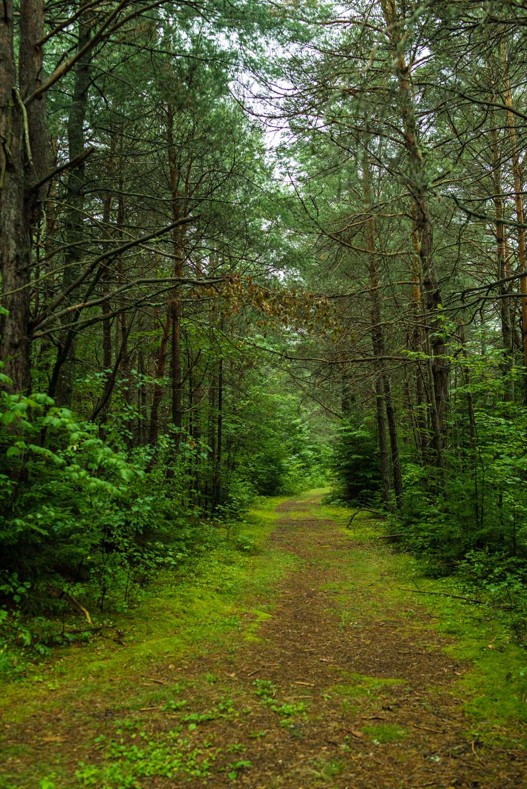 Interpretive Nature Trails For Our Guests | Property Amenities | Lake ...