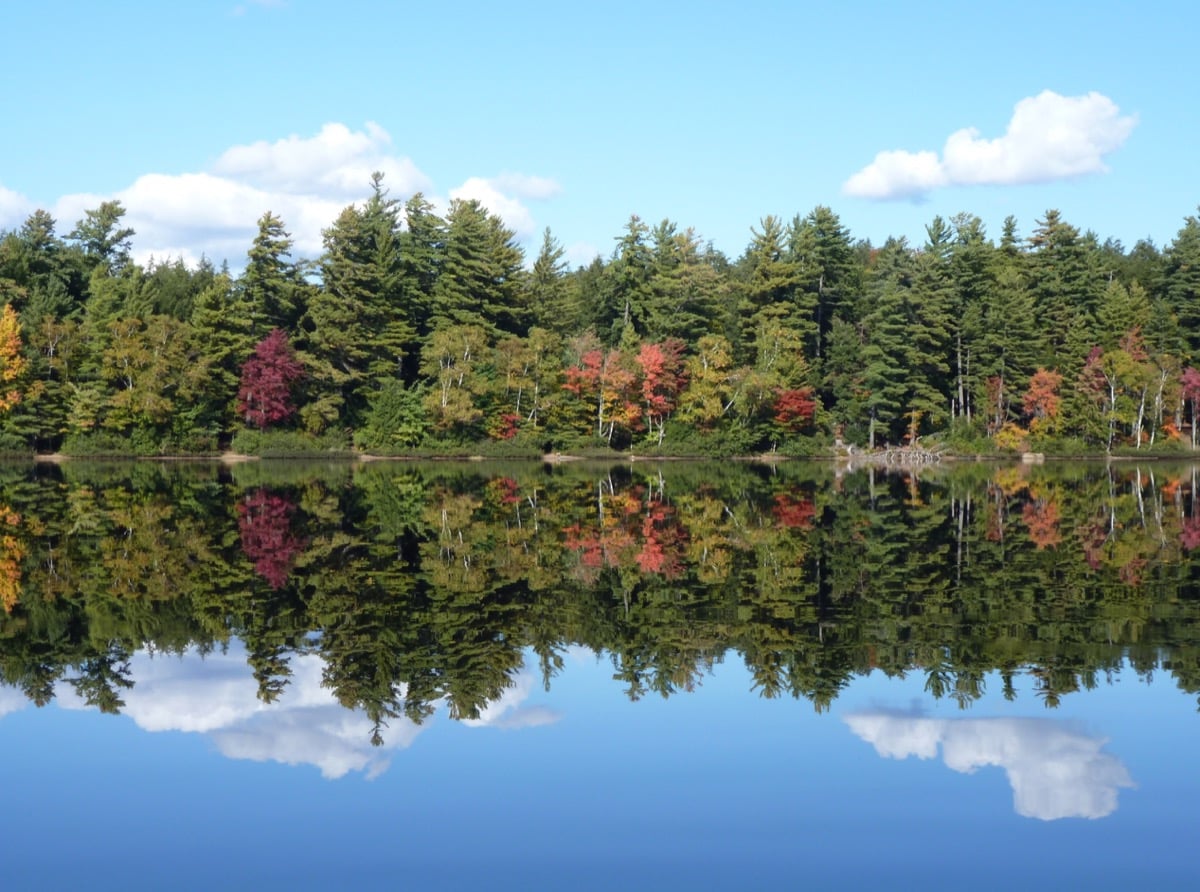 Top 5 Adirondack Fall Foliage Paddles | Pathways Blog | Lake Clear ...